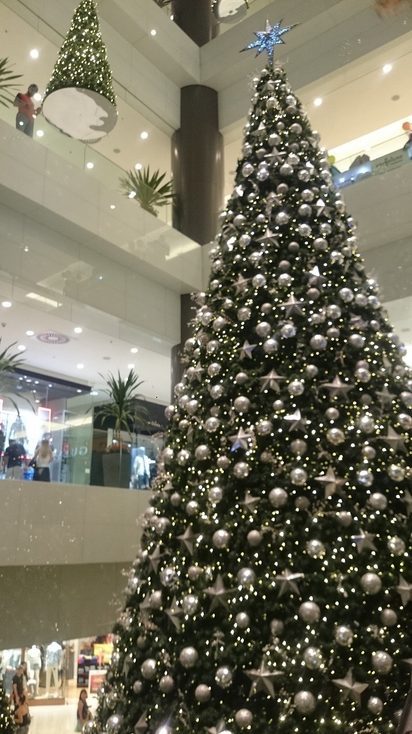 X'masツリーあれこれ: 猫+犬生活 in CA